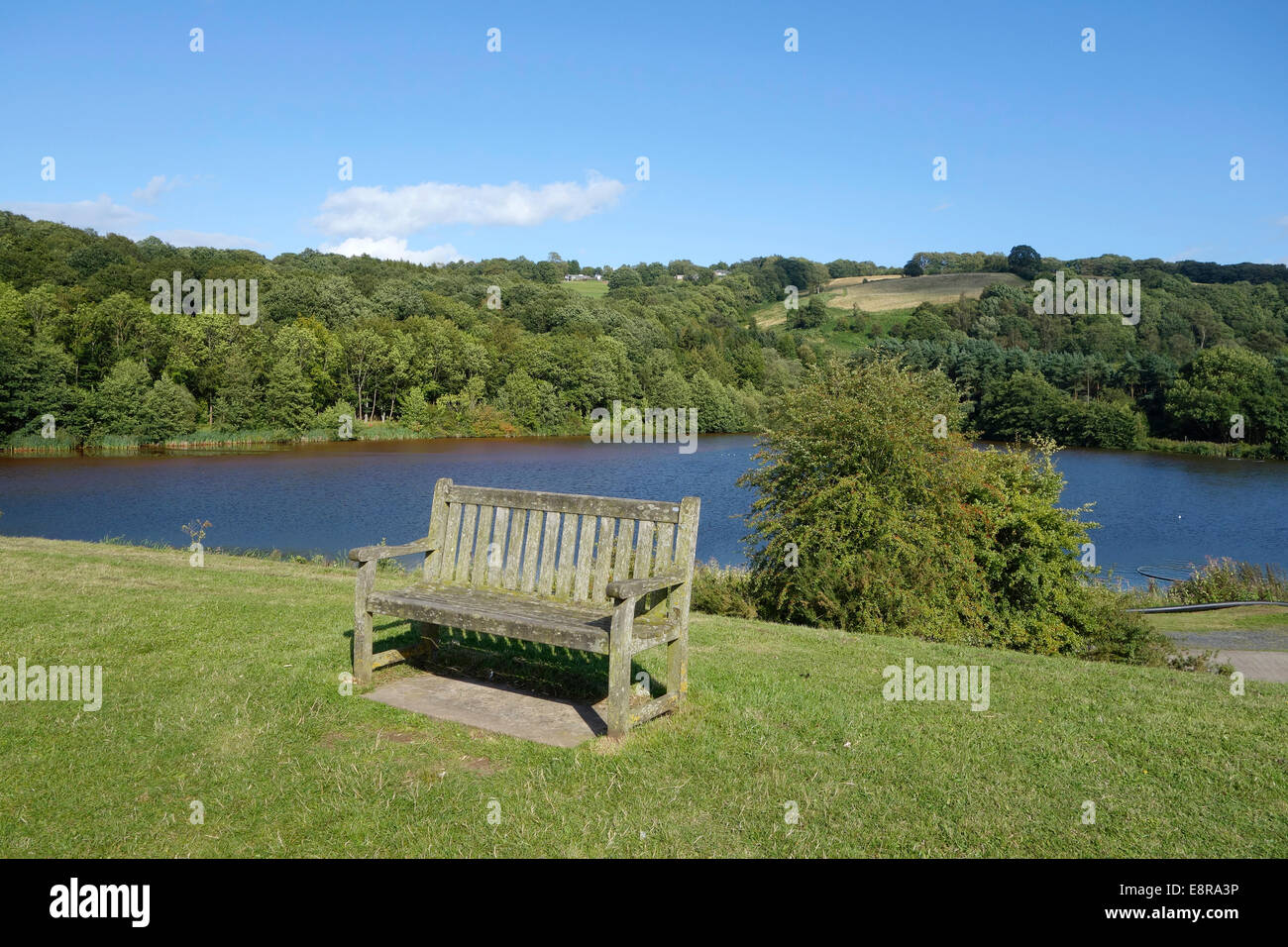 Trimpley Reservoir, Trimpley, Worcestershire, England, UK in Summer ...