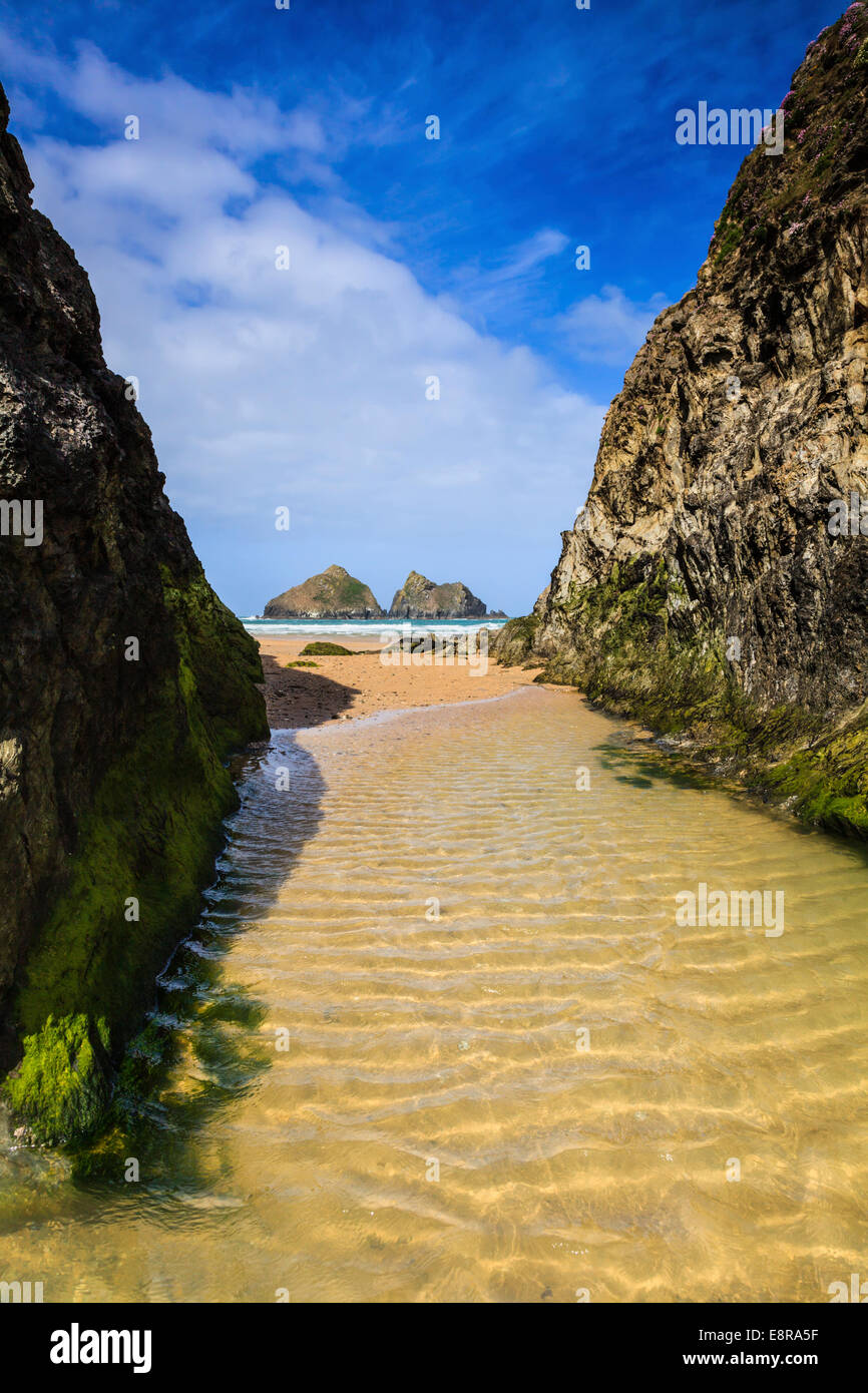 Holywell Beach captured from the gully between the cliffs Stock Photo ...