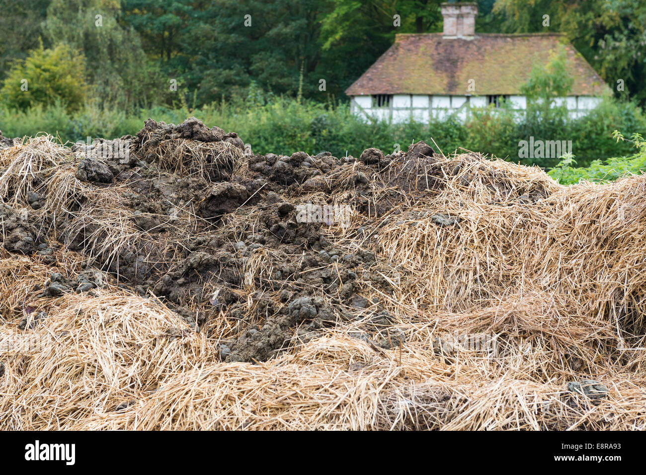 Pile of horse manure hi-res stock photography and images - Alamy