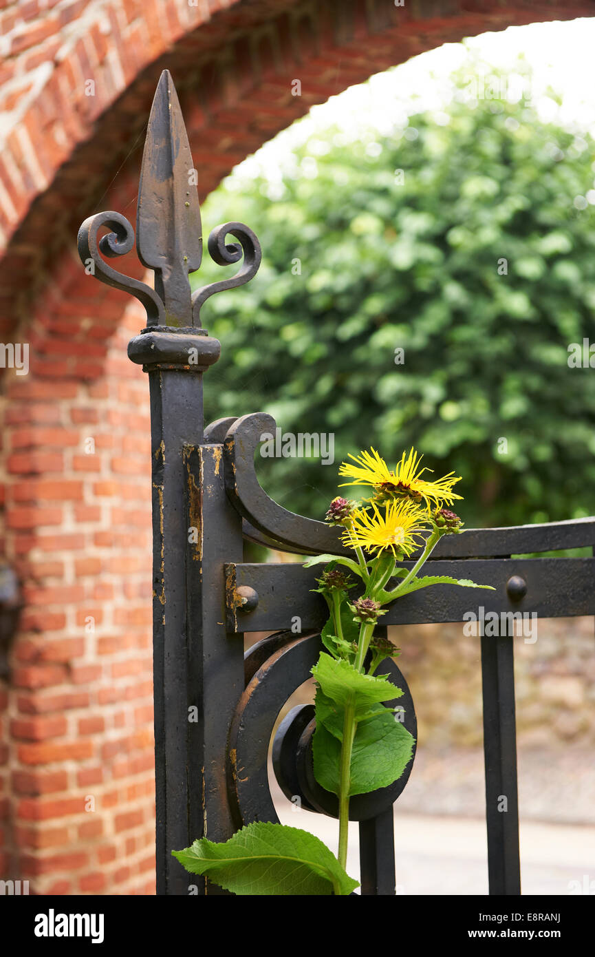 Close-up of cast iron gate Stock Photo - Alamy