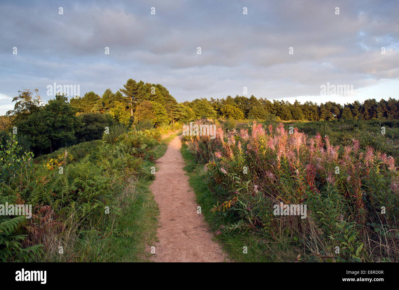 Footpath to castle hi-res stock photography and images - Alamy