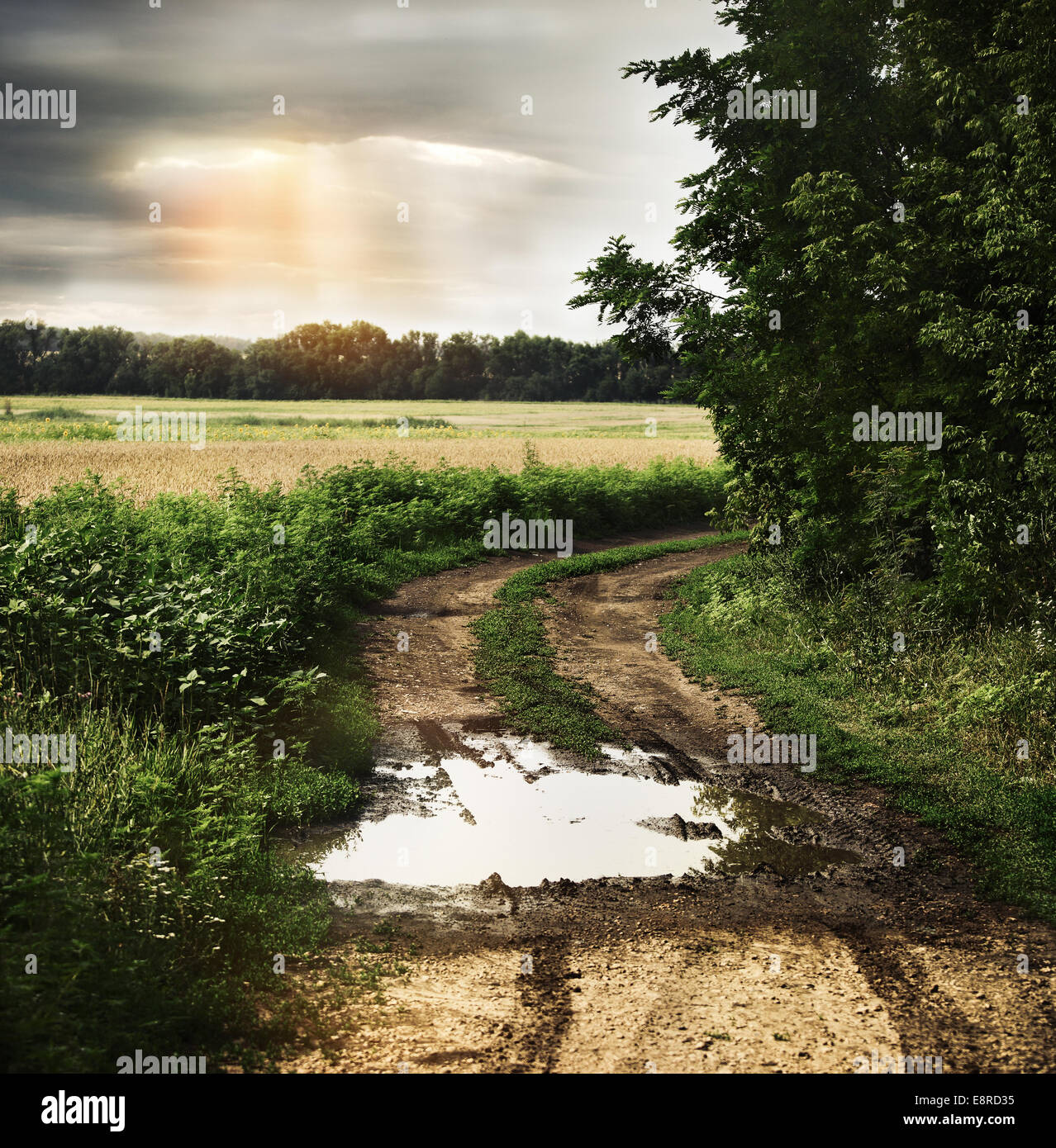 Dramatic wet countryside road with dark cloudy sky on the background ...