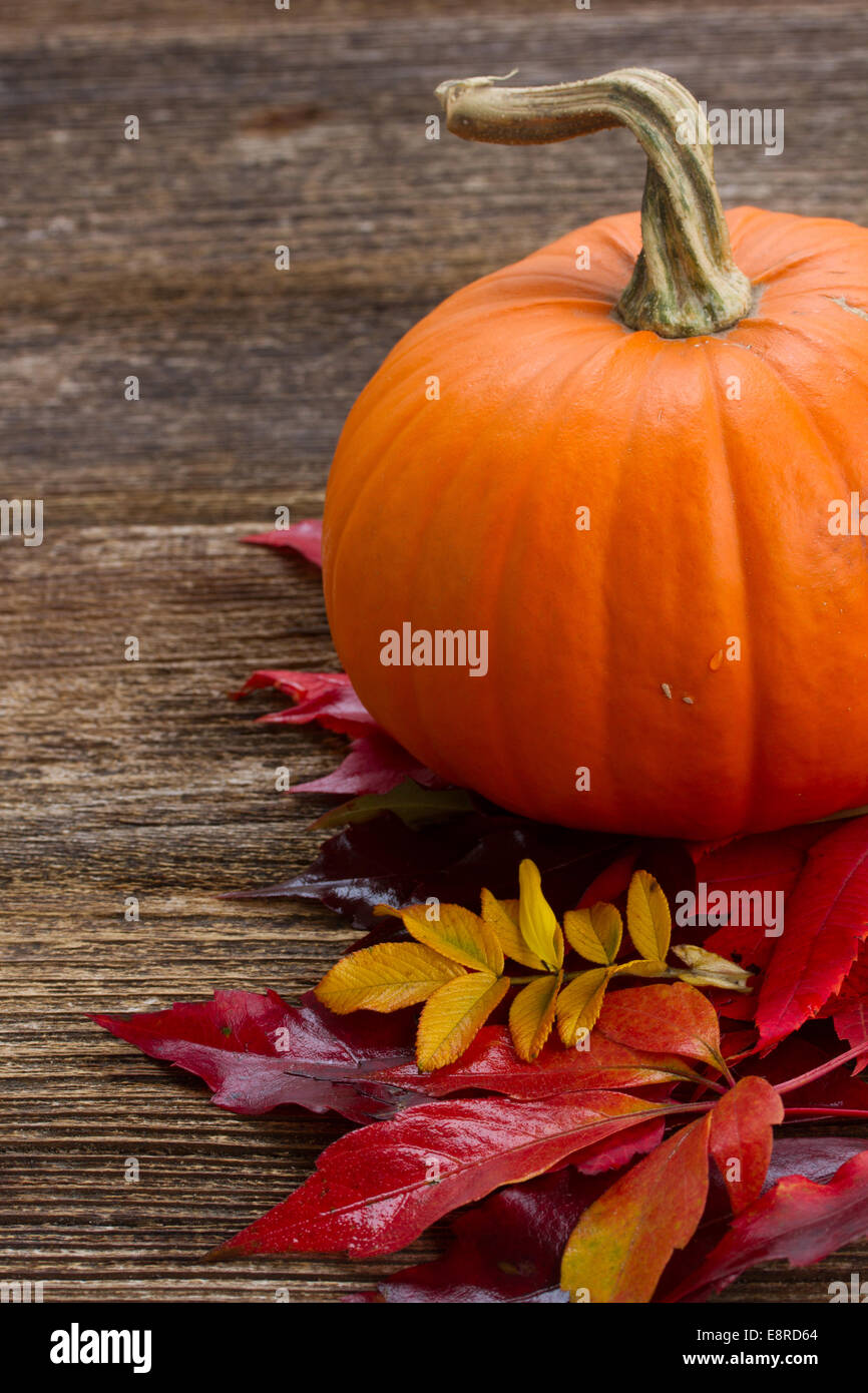 pumpkin on table Stock Photo - Alamy