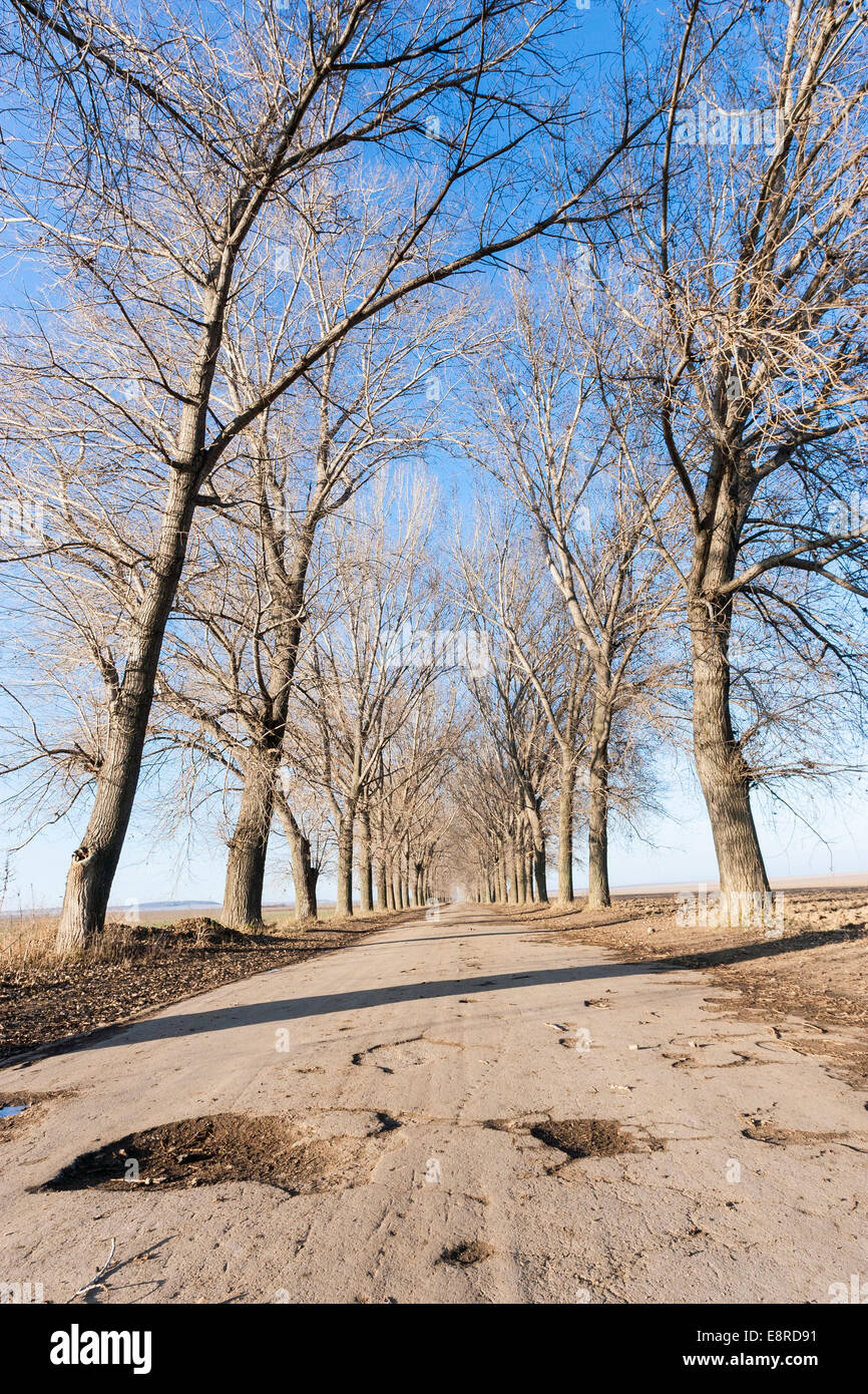 Dobrudja hi-res stock photography and images - Alamy