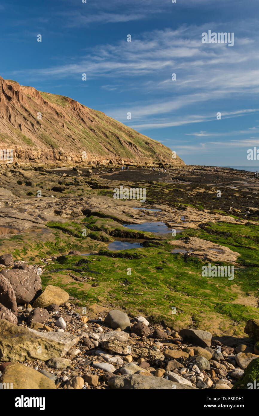 Filey brigg east yorkshire hi-res stock photography and images - Alamy