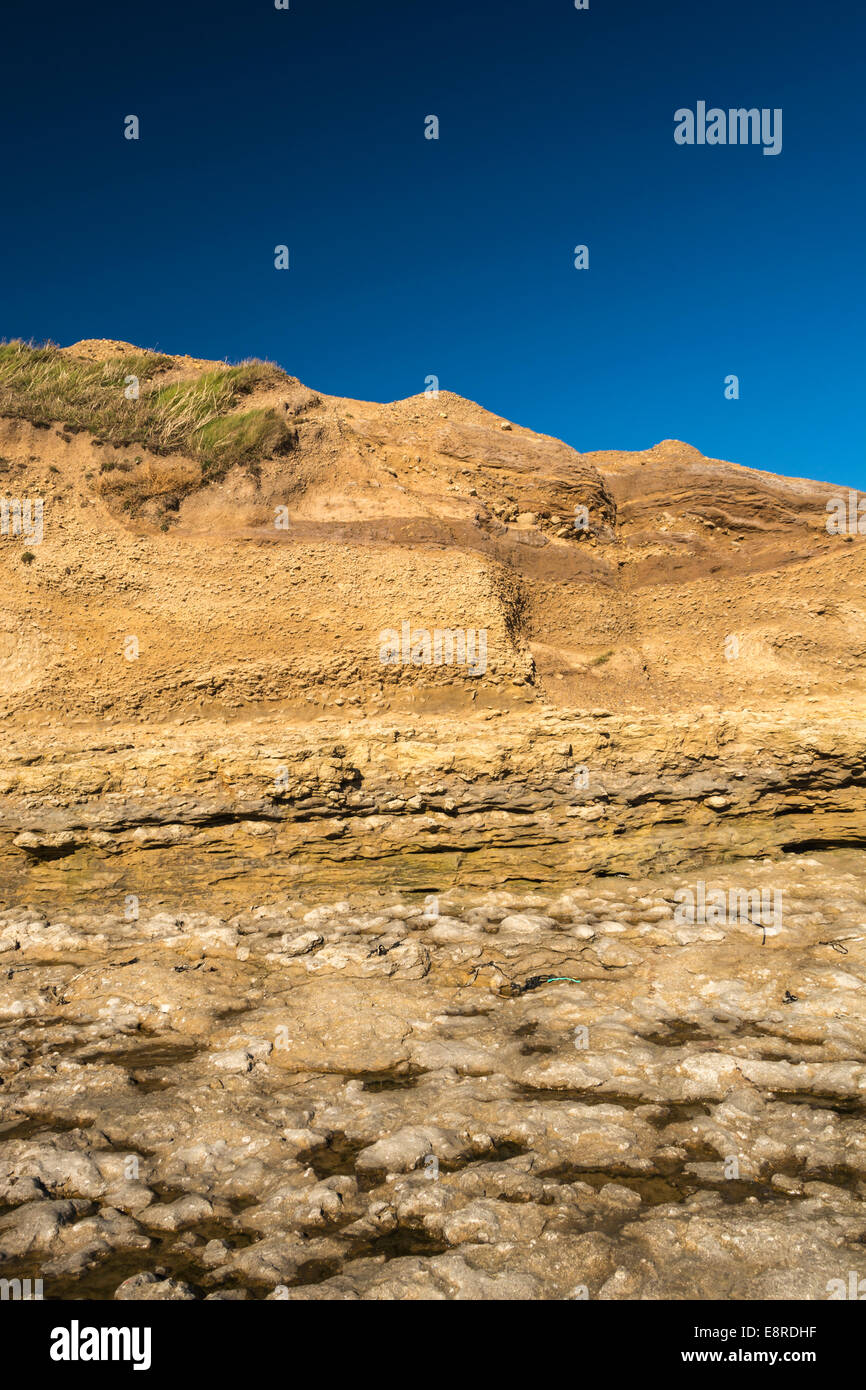 A cross section of the Western end of Filey Brigg showing the different ...