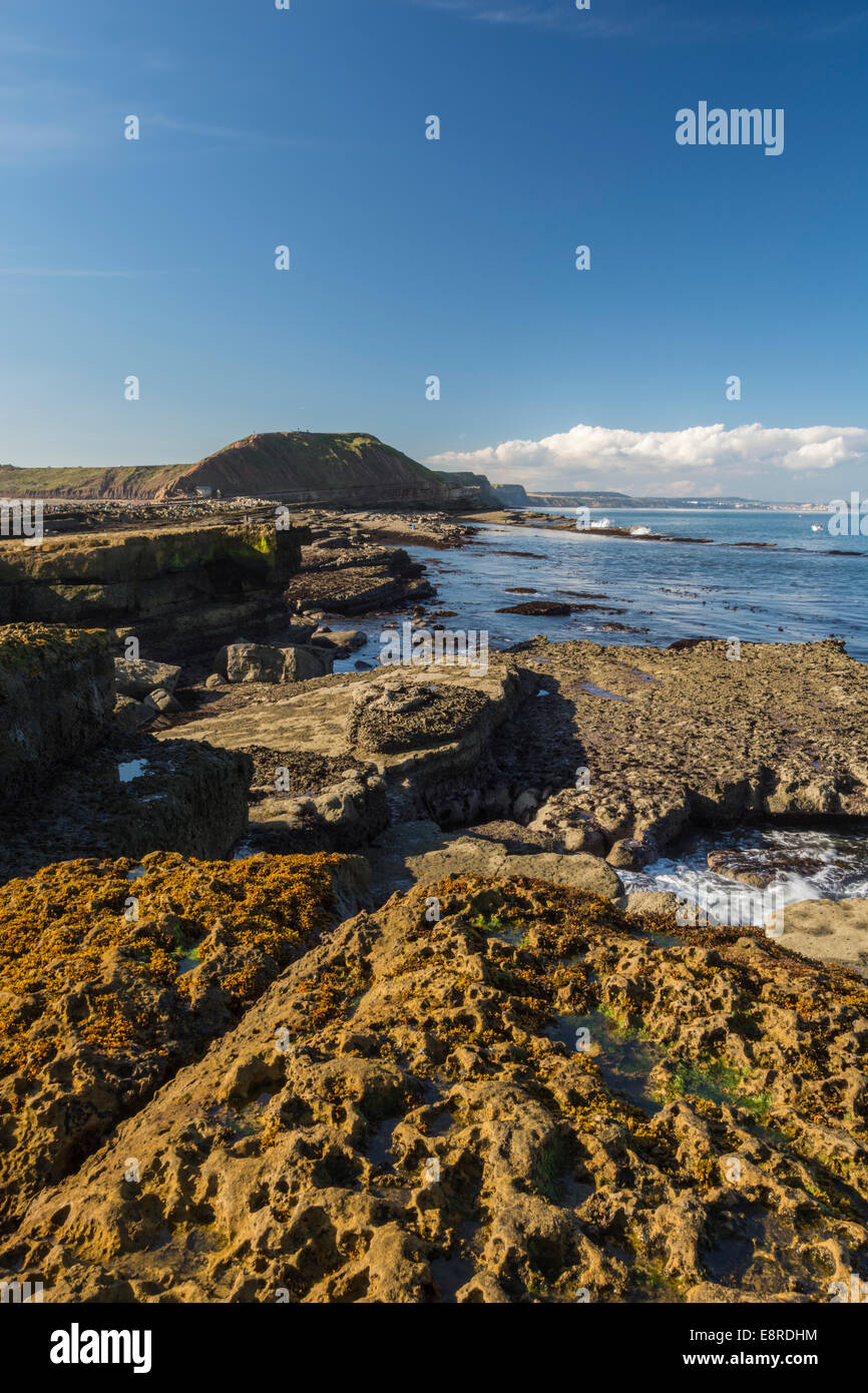 Filey brigg hi-res stock photography and images - Alamy