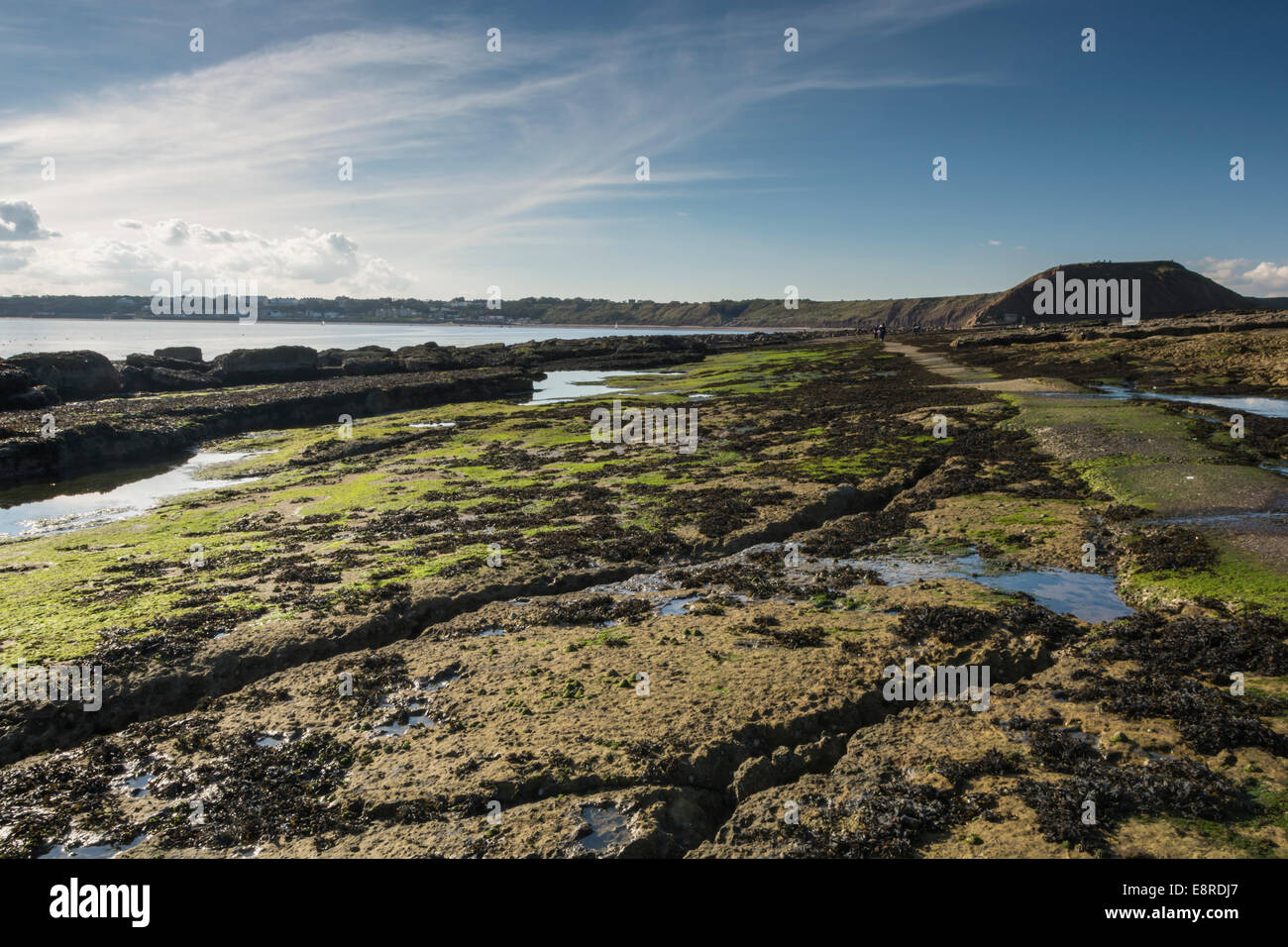 Filey brigg rocks hi-res stock photography and images - Alamy
