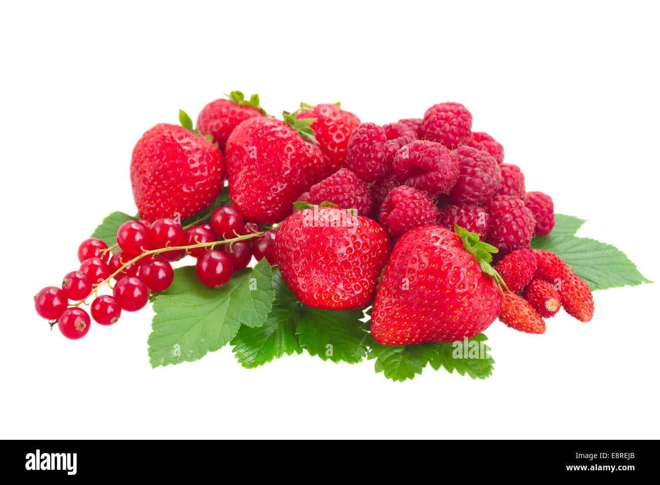 fresh red berries Stock Photo - Alamy
