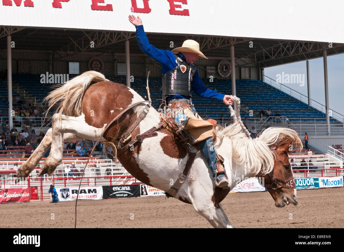 Saddle bronc riding hi-res stock photography and images - Alamy