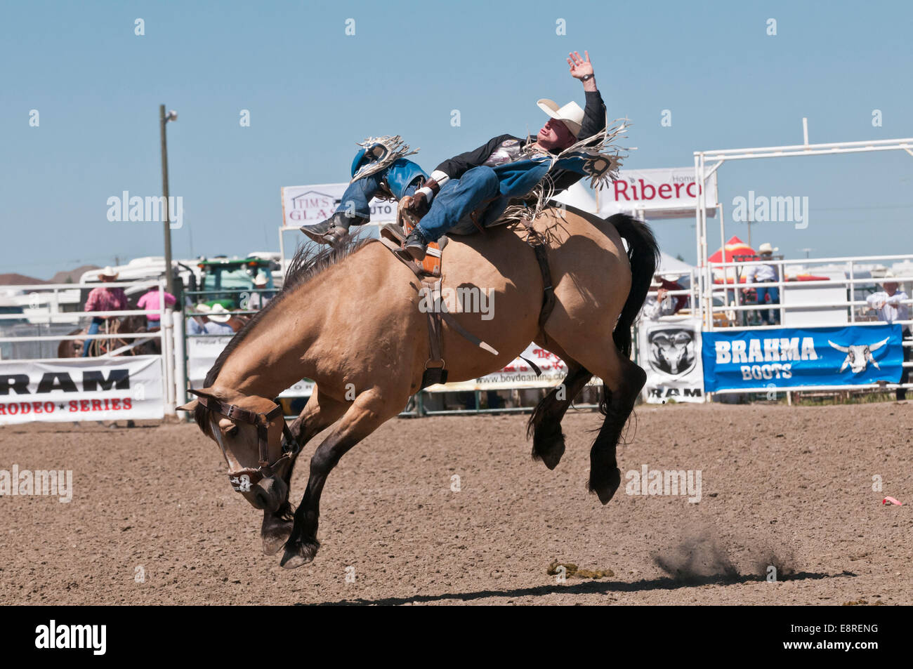 Cowboy, bareback bronc riding, Strathmore Heritage Days, Rodeo ...