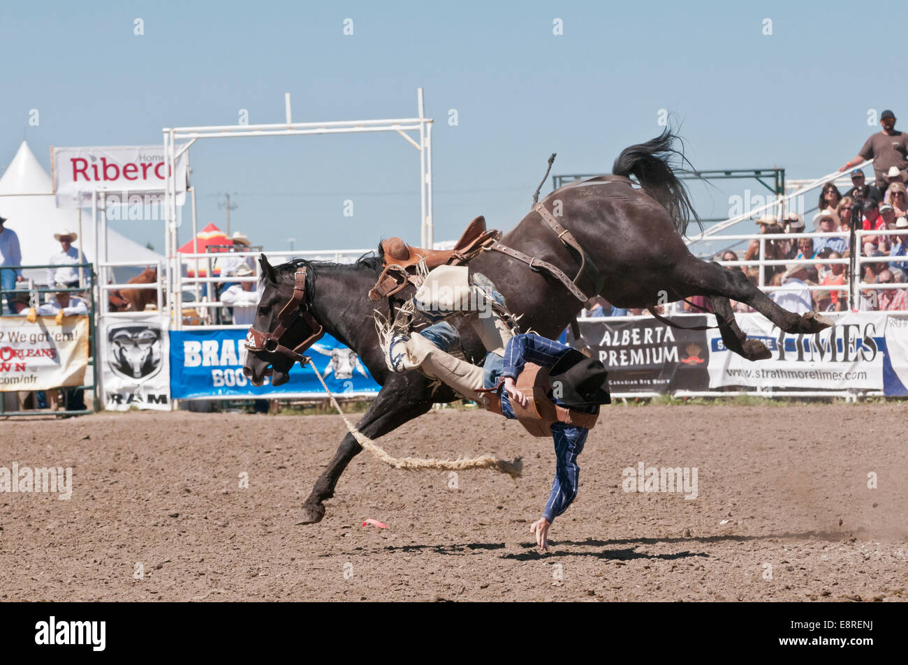 Cowboy, saddle bronc riding, Strathmore Heritage Days, Rodeo ...