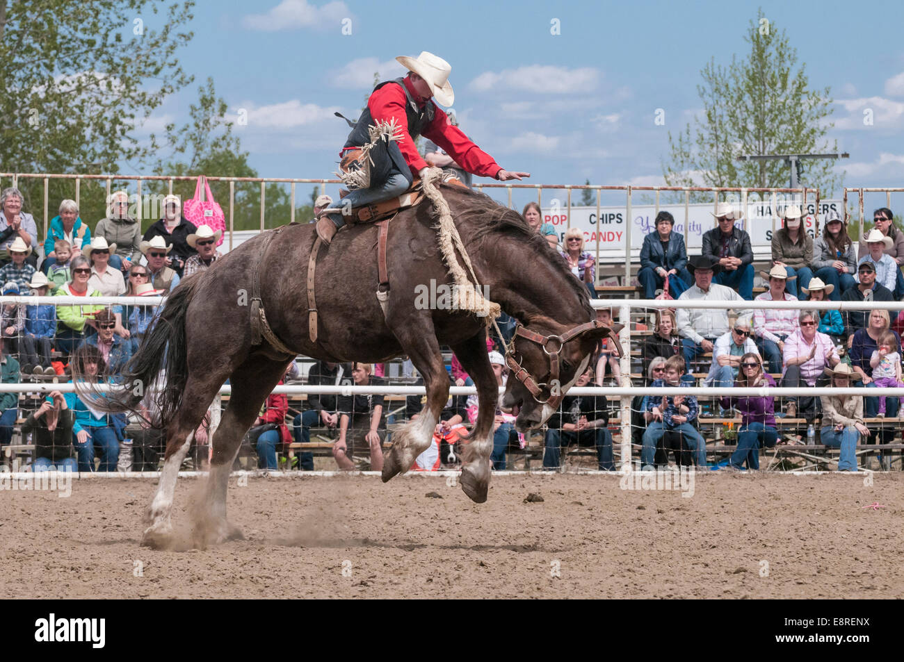 Saddle bronc riding hi-res stock photography and images - Alamy