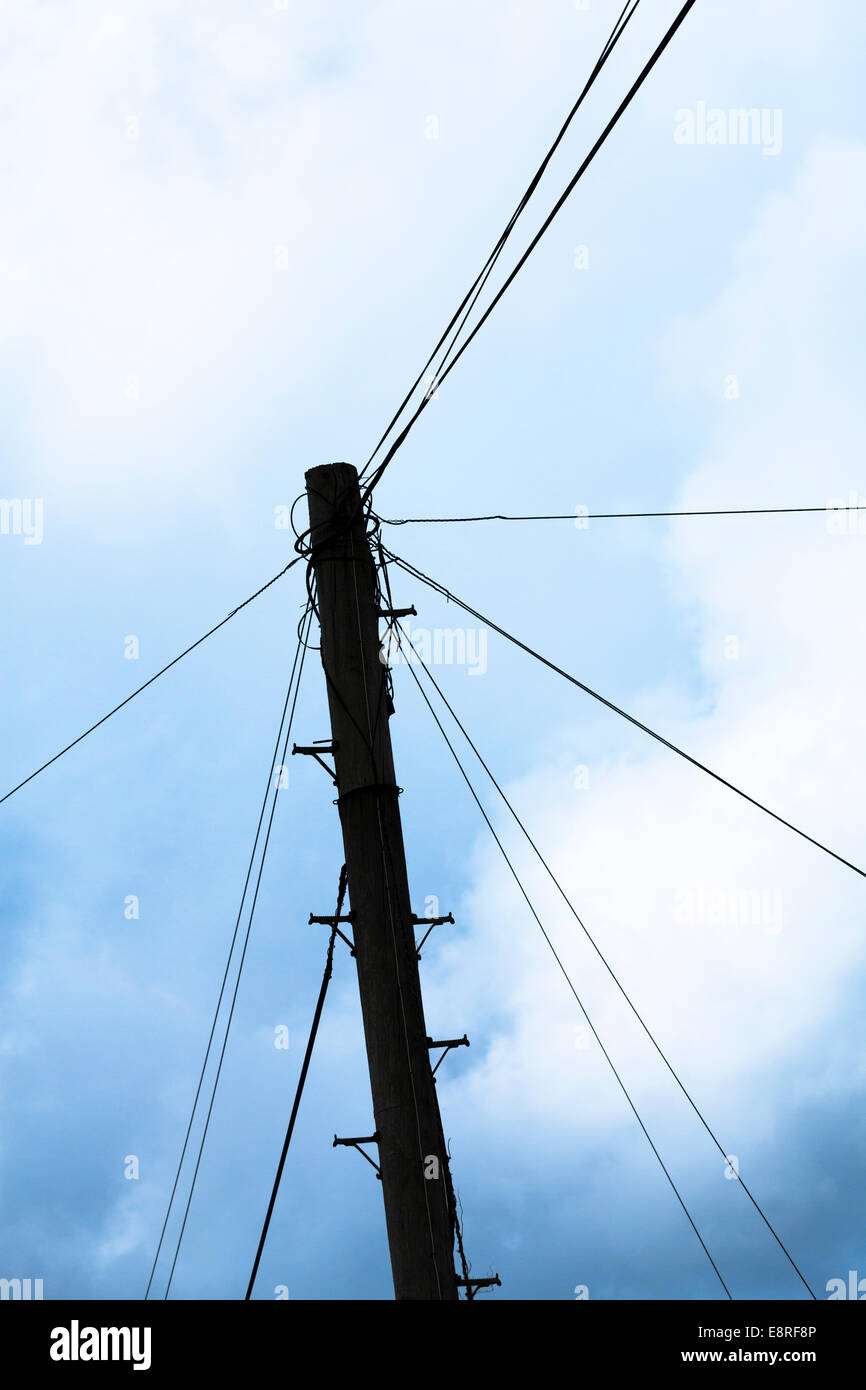 Telephone Wire Silhouette