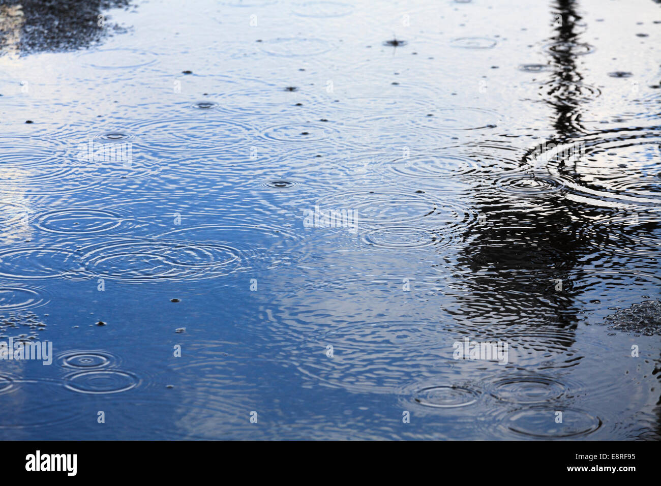 Raindrops causing ripples in a puddle Stock Photo - Alamy