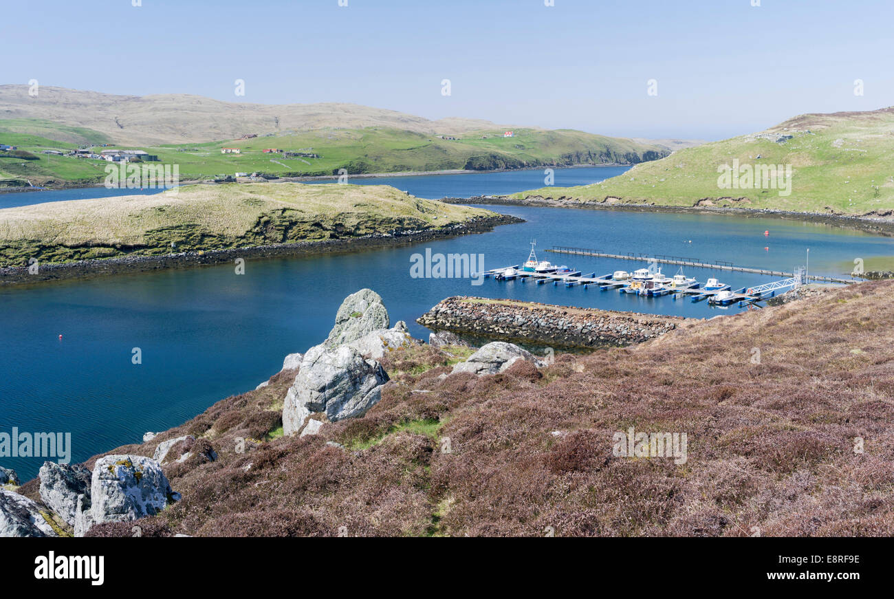 Muckle Roe, a small island of the Shetland Islands, view over the Roe ...