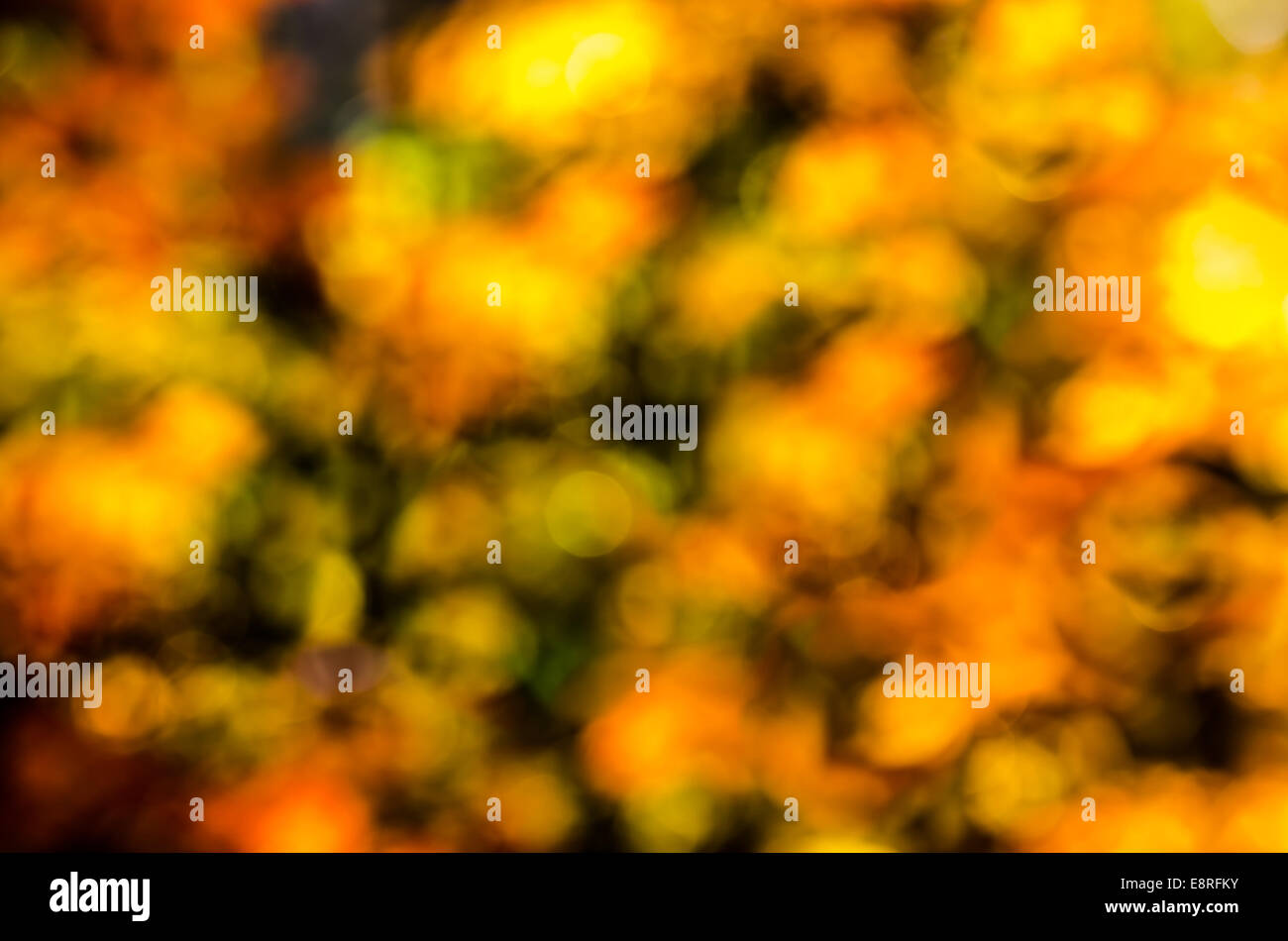 Fall bokeh background hi-res stock photography and images - Alamy