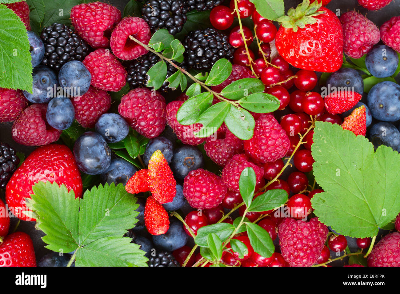 ripe of fresh berries Stock Photo - Alamy