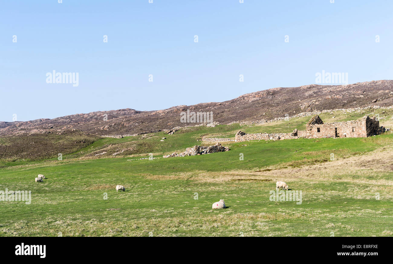 Muckle Roe, a small island of the Shetland Islands, derelict Sanhill ...