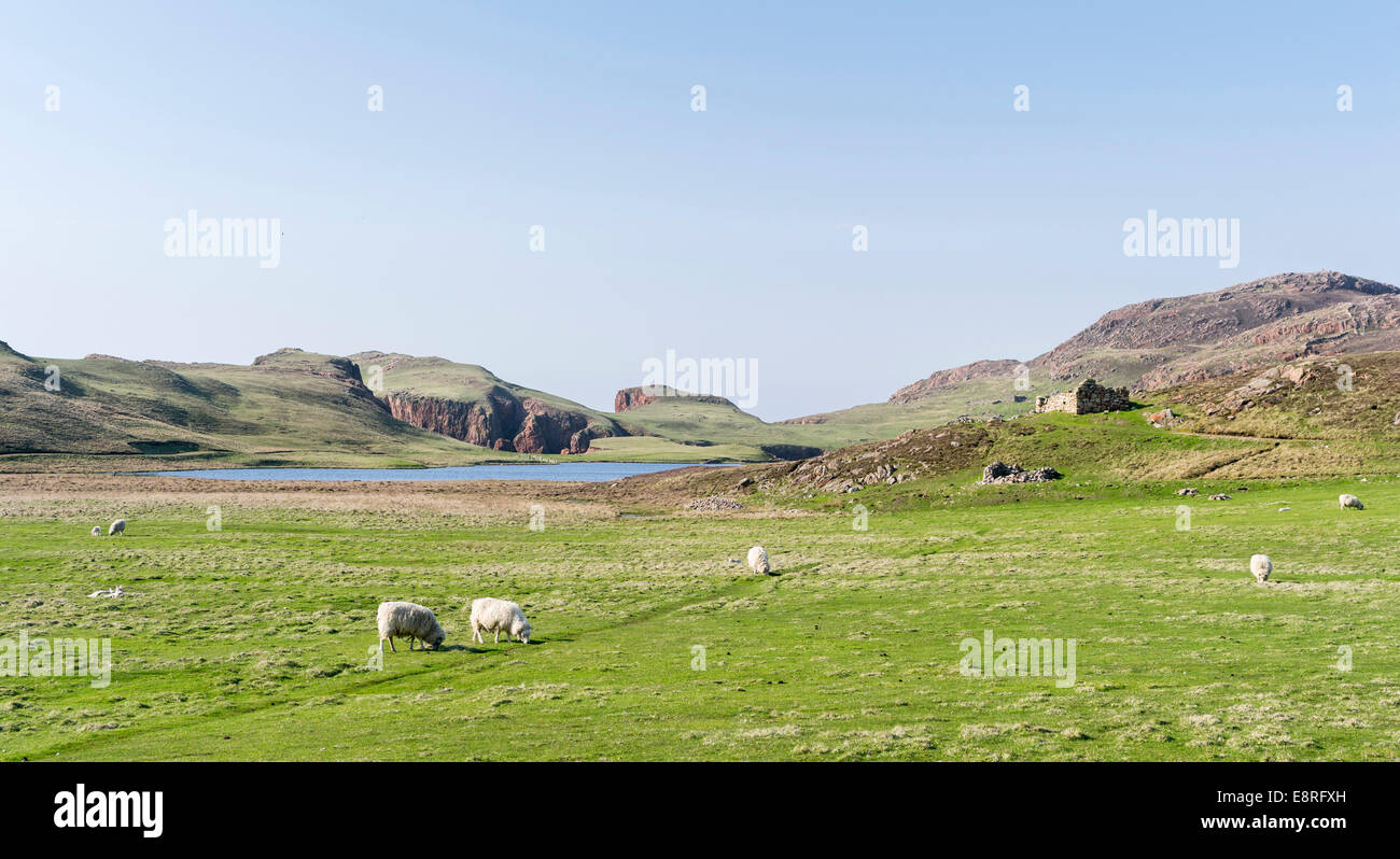 Muckle roe island hi-res stock photography and images - Alamy