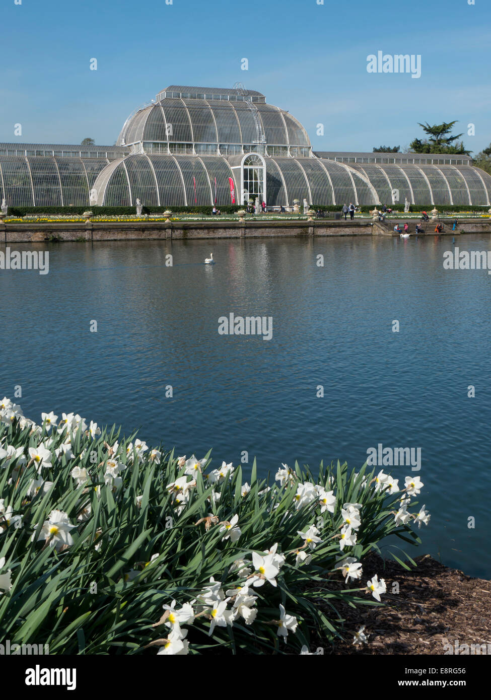 Europe, UK, England, London, Kew Gardens Palm House in spring Stock ...