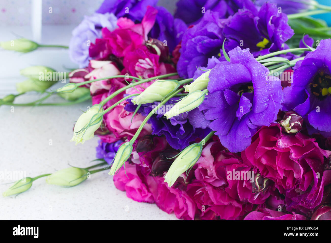 bunch of violet and mauve eustoma flowers Stock Photo - Alamy