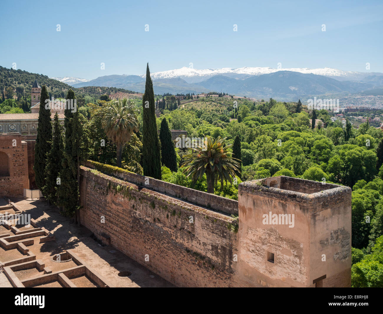 Horizon line trees hi-res stock photography and images - Alamy