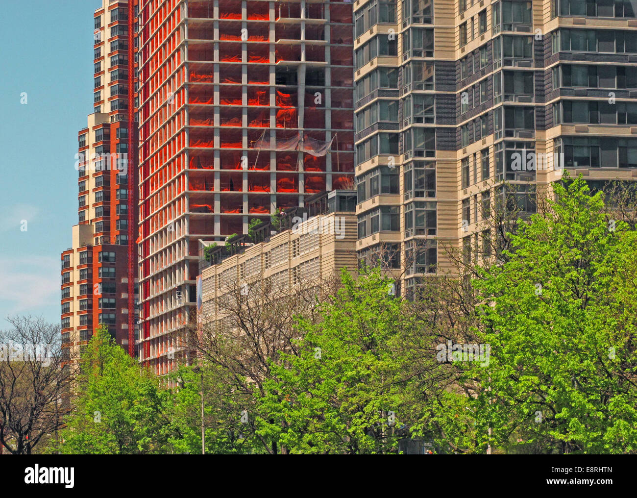 Cat and Computer Monitor Stock Photo - Alamy