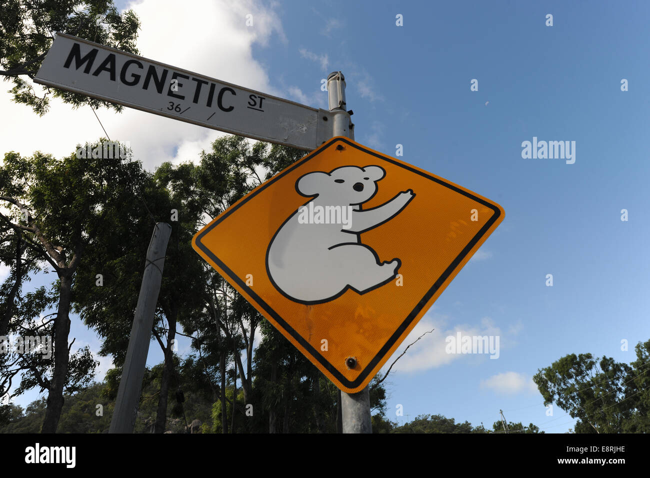 Koalas on road sign hi-res stock photography and images - Alamy