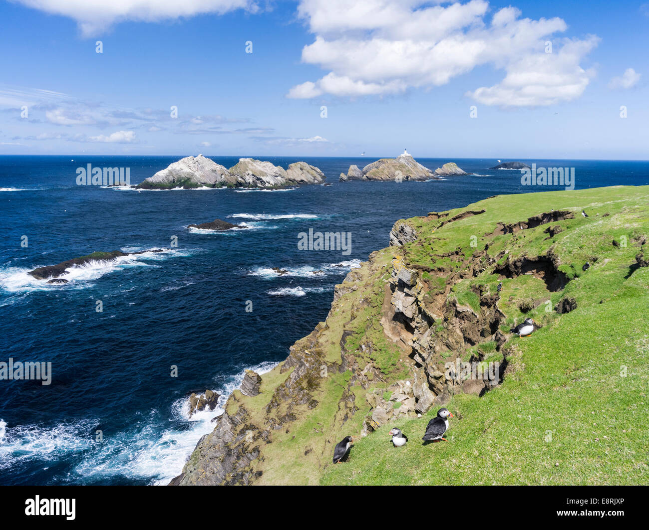 Muckle Flugga with lighthouse, Hermaness National Reserve, Unst island ...