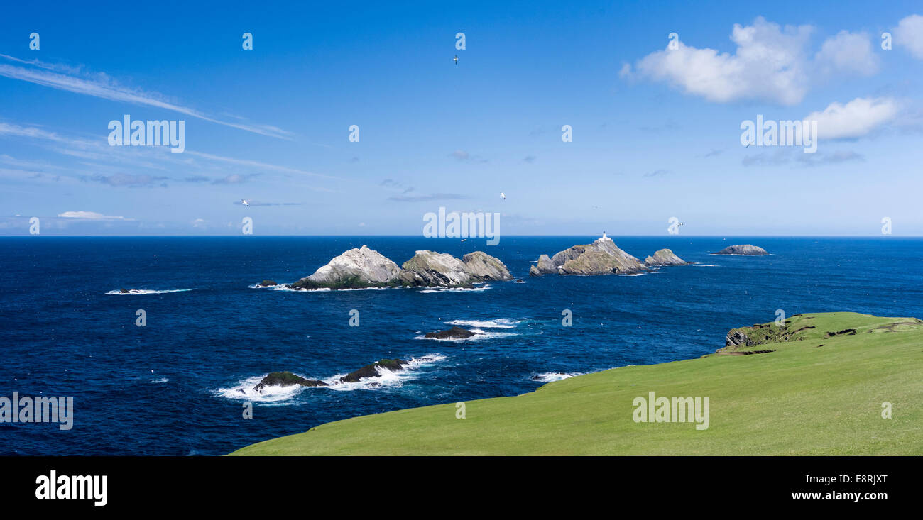 Muckle Flugga with lighthouse, Hermaness National Reserve, Unst island ...