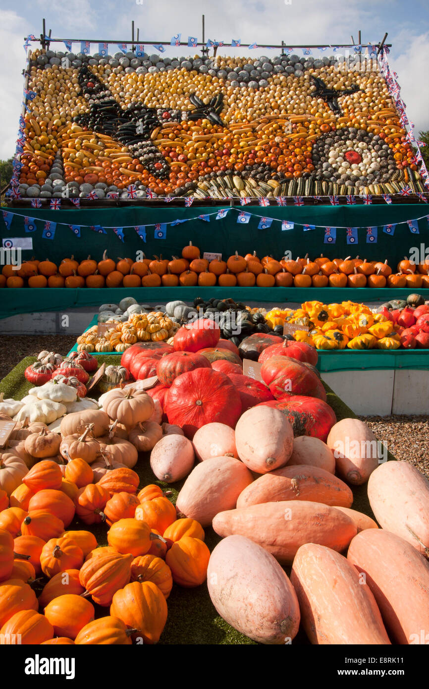 Variety pumpkins slindon farm west hi-res stock photography and images ...