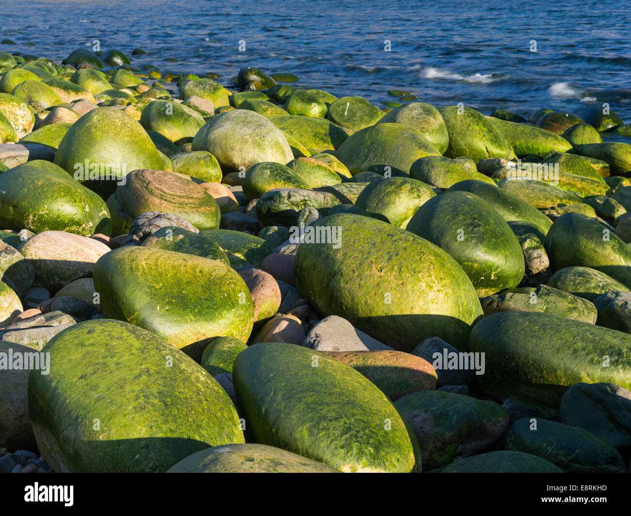 Rackwick Bay Beach, Hoy island, Orkney islands, Scotland. (Large format ...