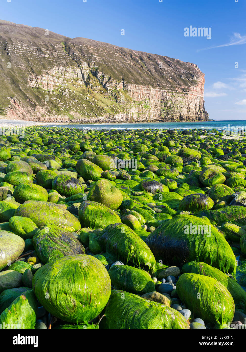 Rackwick Bay Beach, Hoy island, Orkney islands, Scotland. (Large format ...