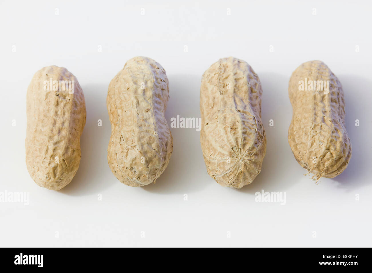 In their shells hi-res stock photography and images - Alamy