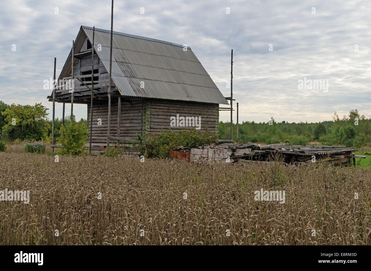 Wheat field farm house in distance hi-res stock photography and images ...