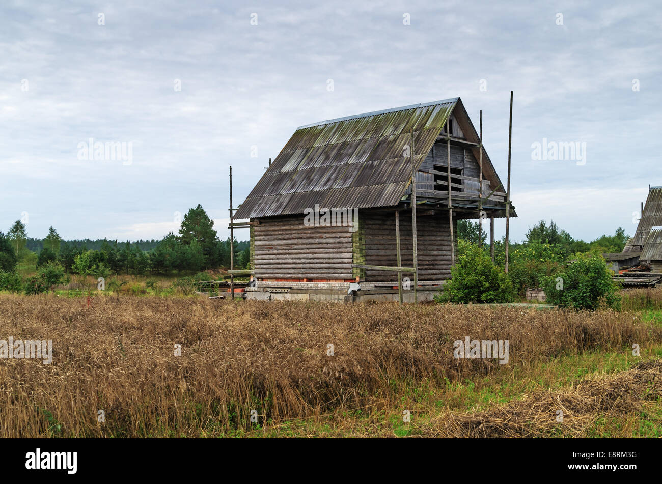 Wooden house in village and small wheat field Stock Photo - Alamy