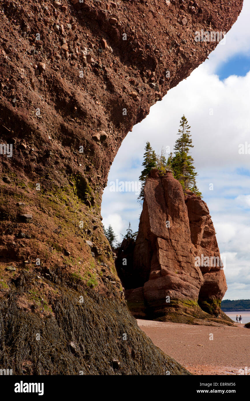 Hopewell Rocks - The Rocks Provincial Park - Hopewell Cape, New ...