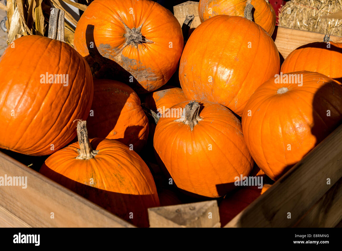 Pumpkins in a box hi-res stock photography and images - Alamy