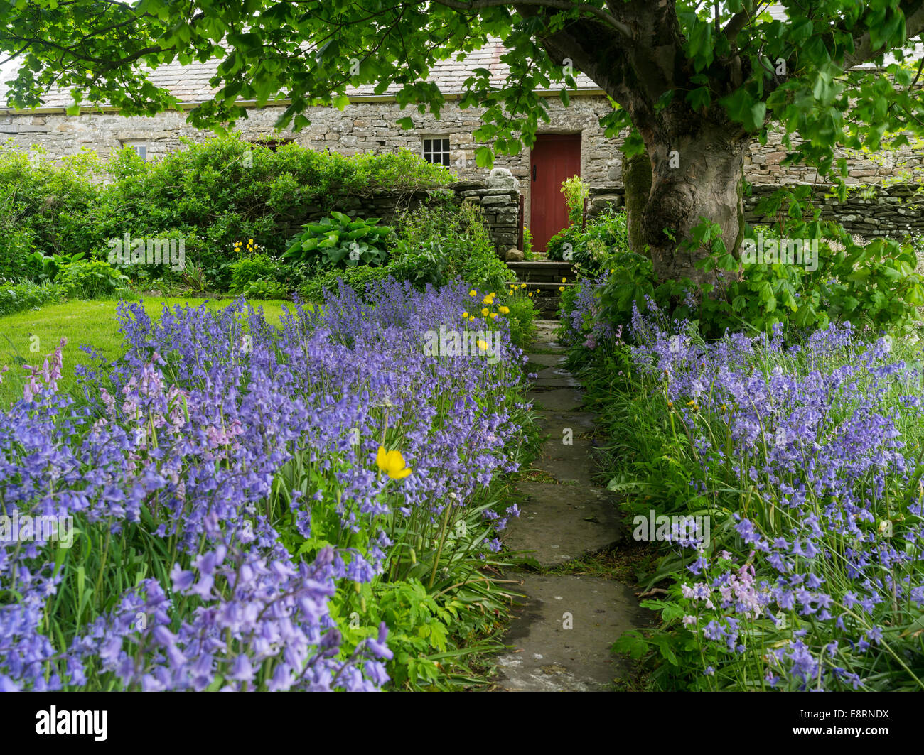 Kirbuster Museum, Kirkwall, Orkney islands, Scotland. (Large format ...