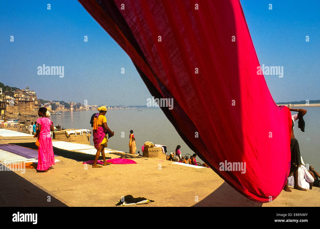 women drying their saris in the sun at the ganga river bank in varanasi ...