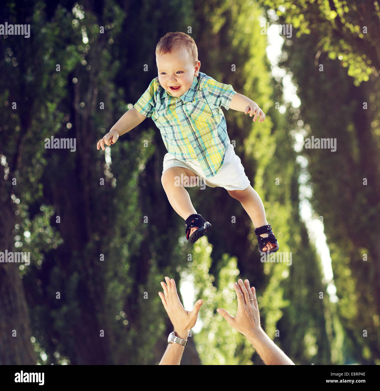 Father tossing his little kid Stock Photo - Alamy