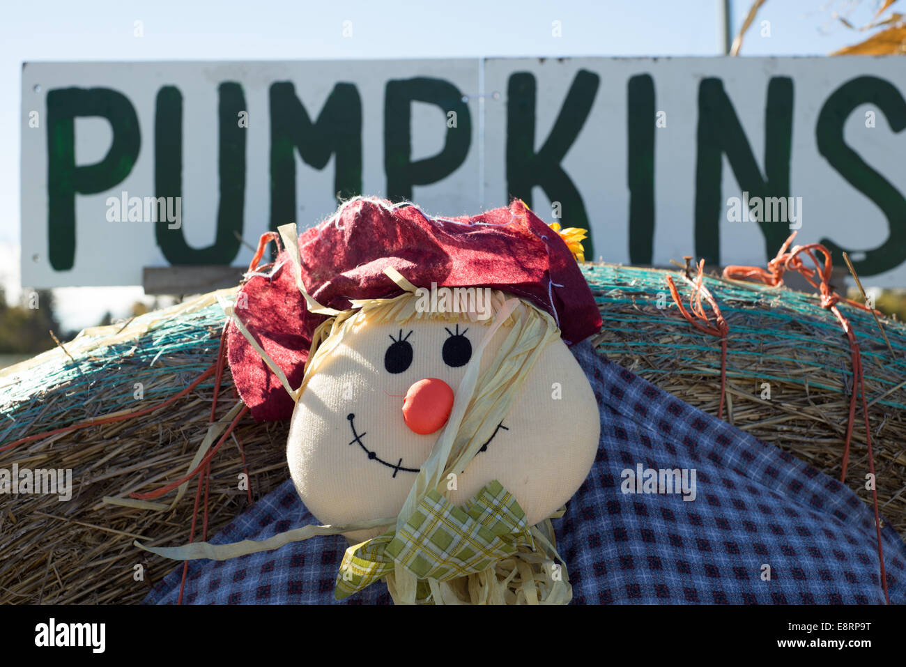 Scarecrow face hi-res stock photography and images - Alamy