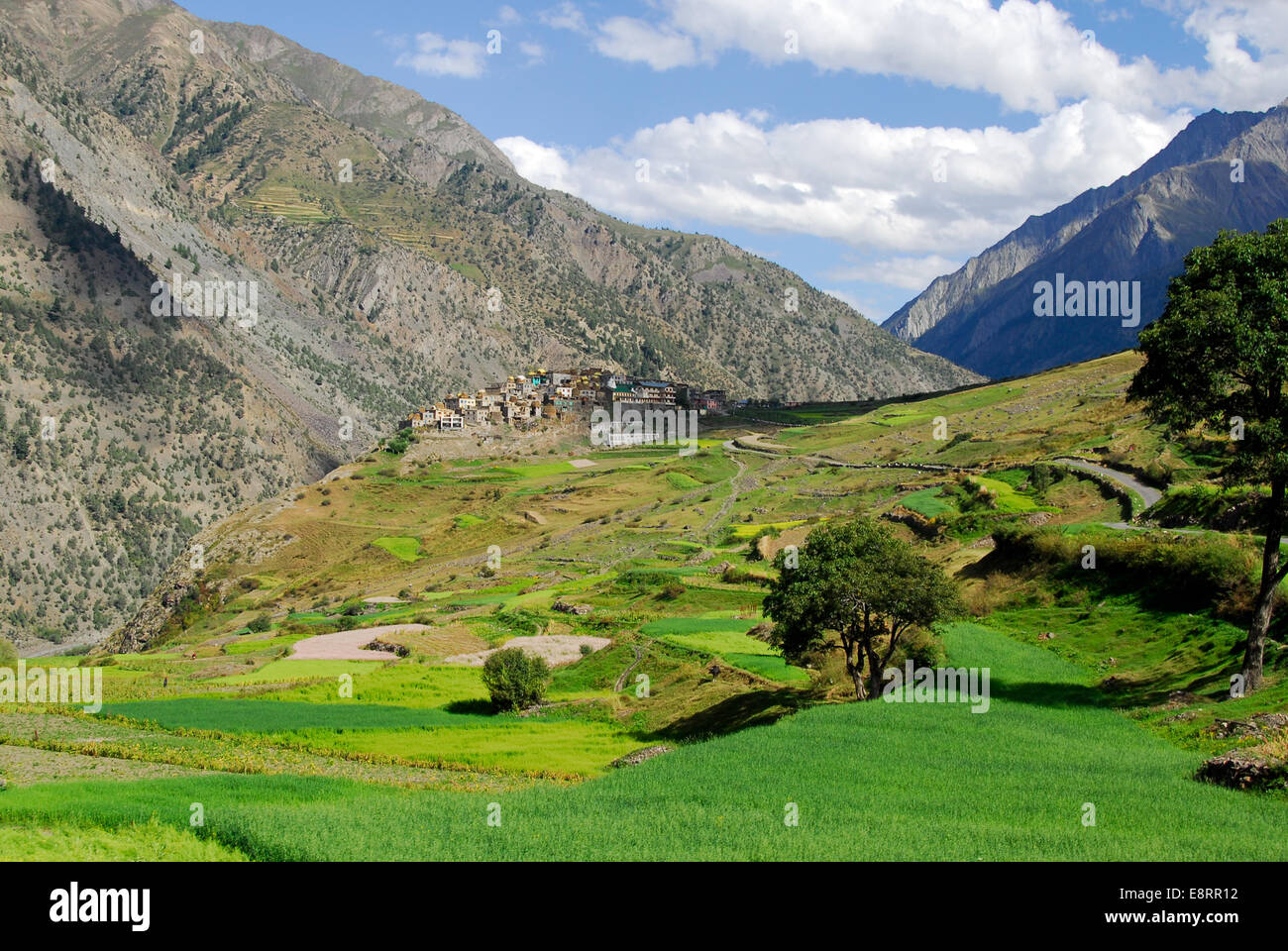 village in lahul valley india Stock Photo - Alamy