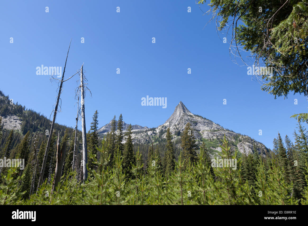 Bitterroot valley hi-res stock photography and images - Alamy