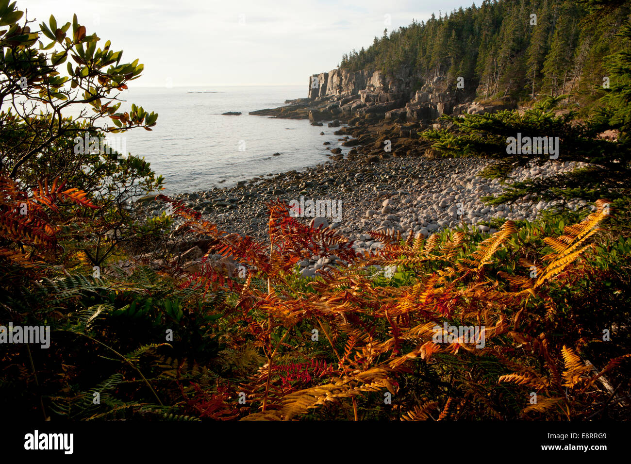 Otter Cliff Landscape - Acadia National Park - Bar Harbor, Maine USA ...