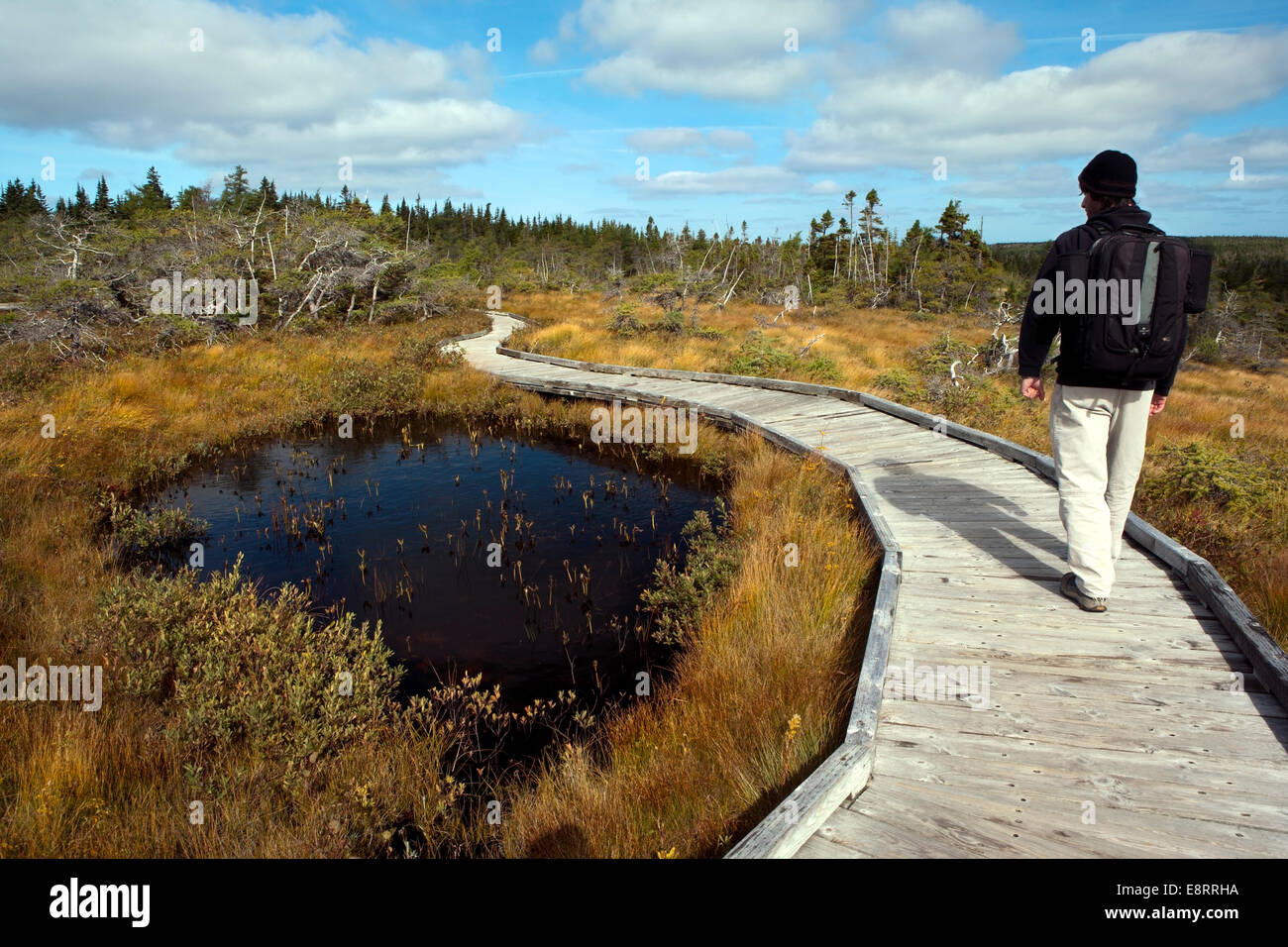 Bog trail hi-res stock photography and images - Alamy
