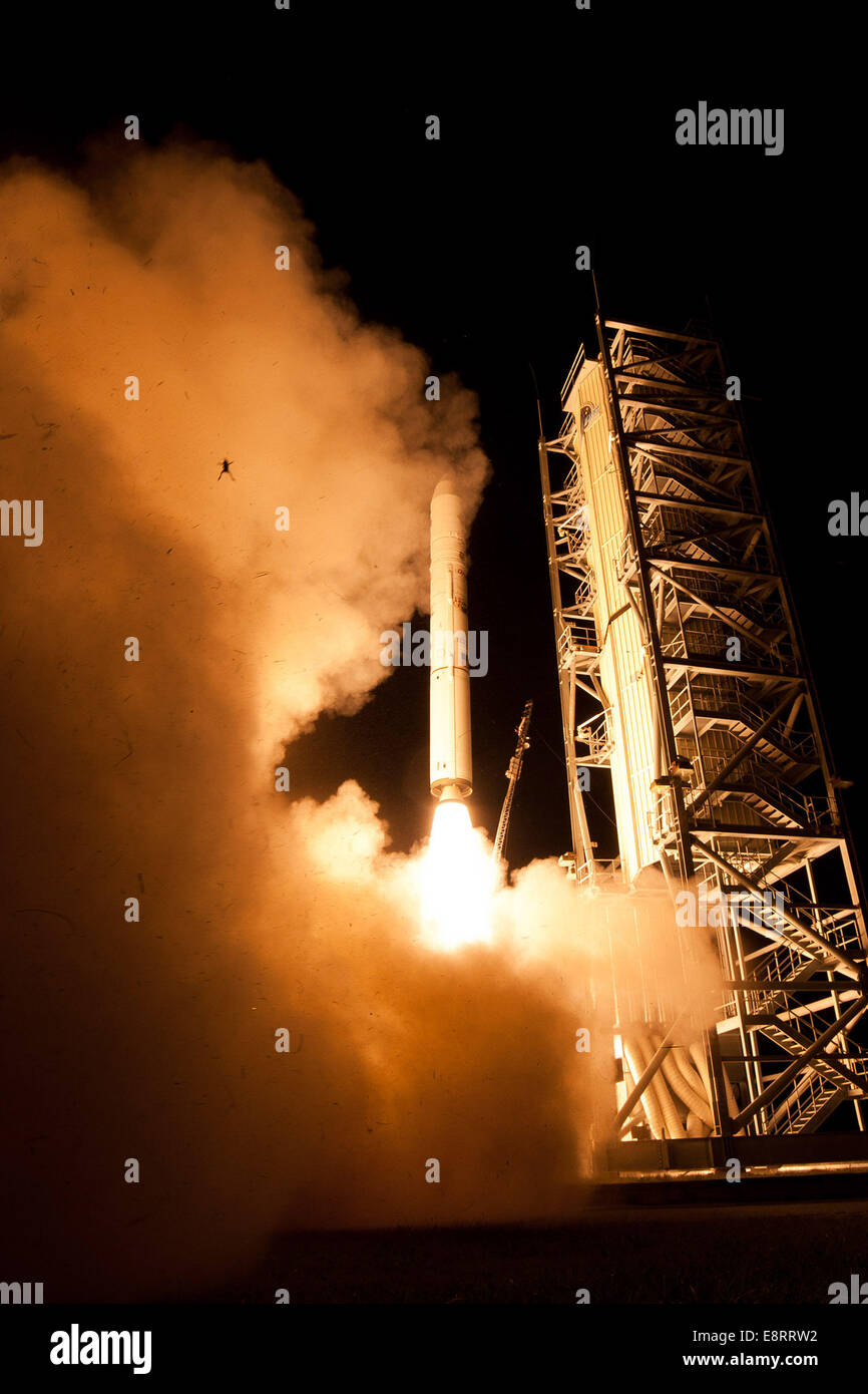 A frog was captured mid-air by a sound-triggered camera during the ...