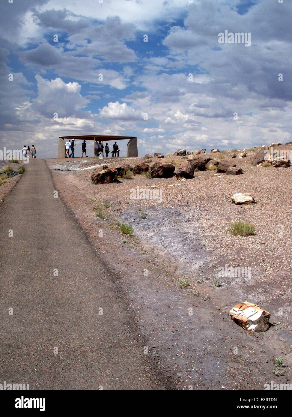 Petrified Forest National Park in Arizona contains fossils of dinosaurs ...