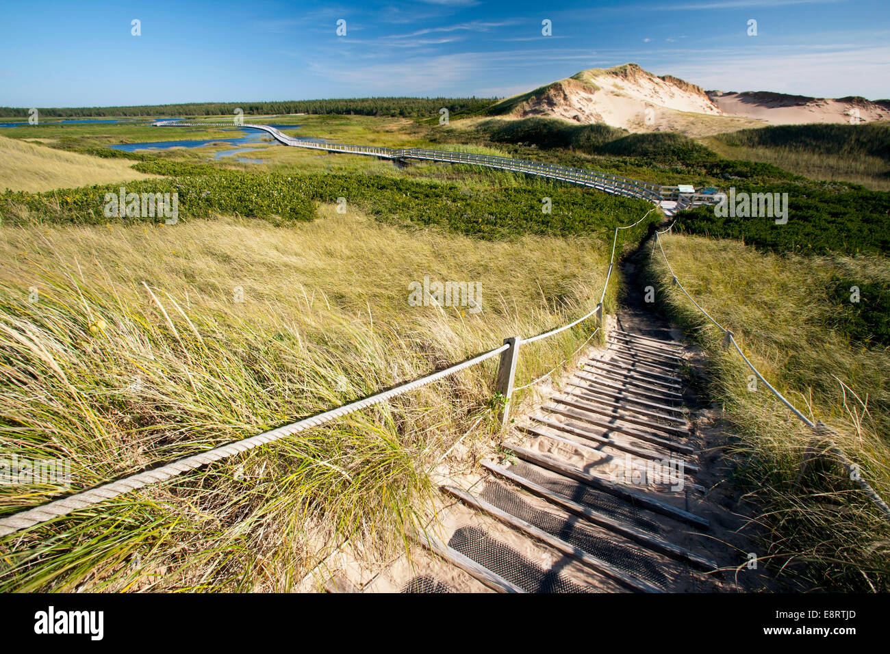 Greenwich Dunes Trail - Prince Edward Island, Canada Stock Photo - Alamy